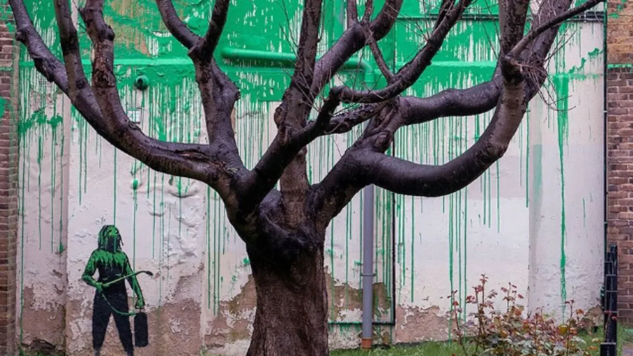 In Pics | British street artist Banksy's new mural depicting tree foliage