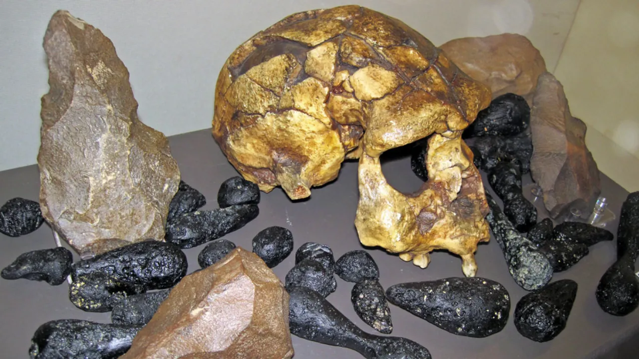 ancient humans News - Latest ancient humans News, Breaking ancient ...