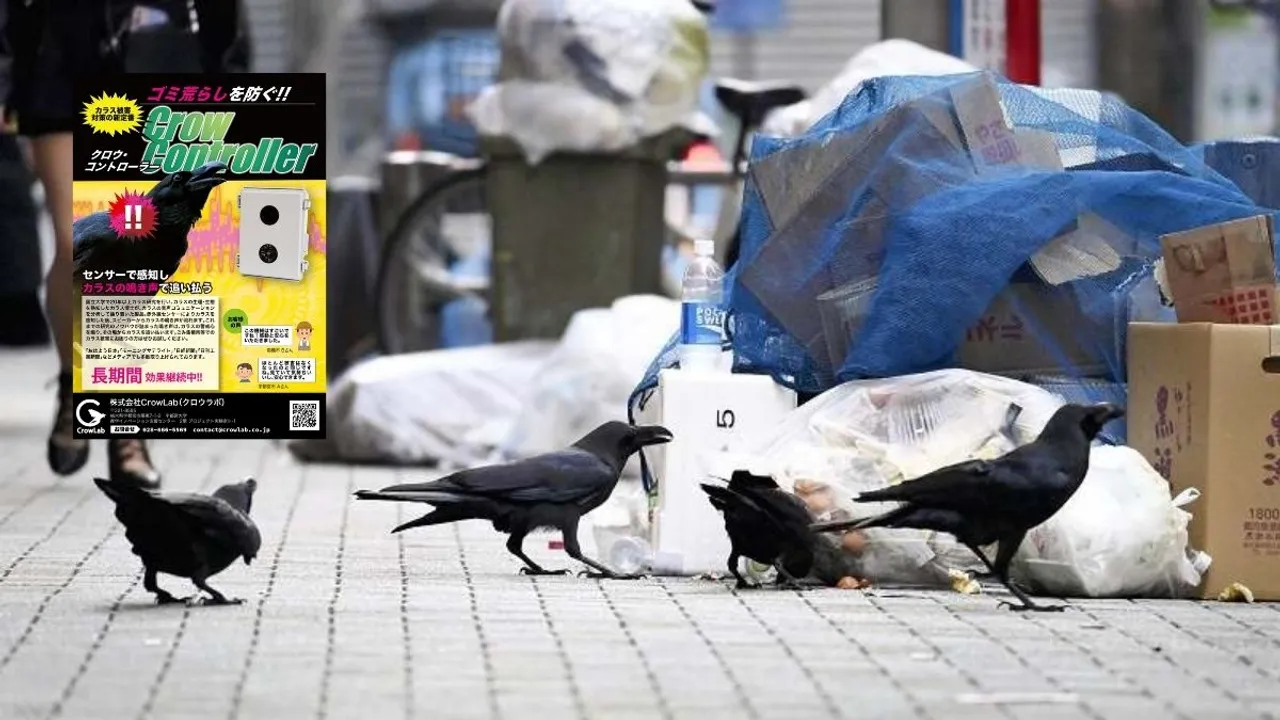 Keeping trash safe: Tokyo battles crow nuisance with high-tech ‘crow ...