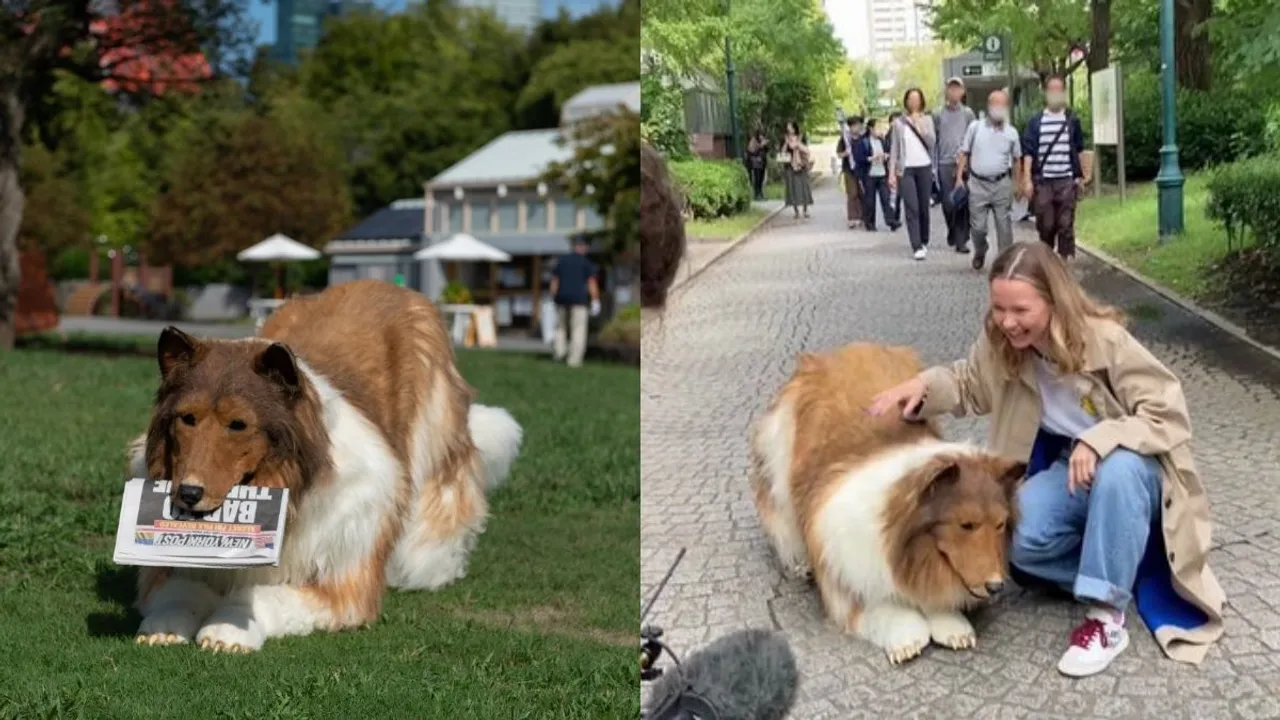 Japanese man who spent $15,000 to transform into a dog, now dreams of ...