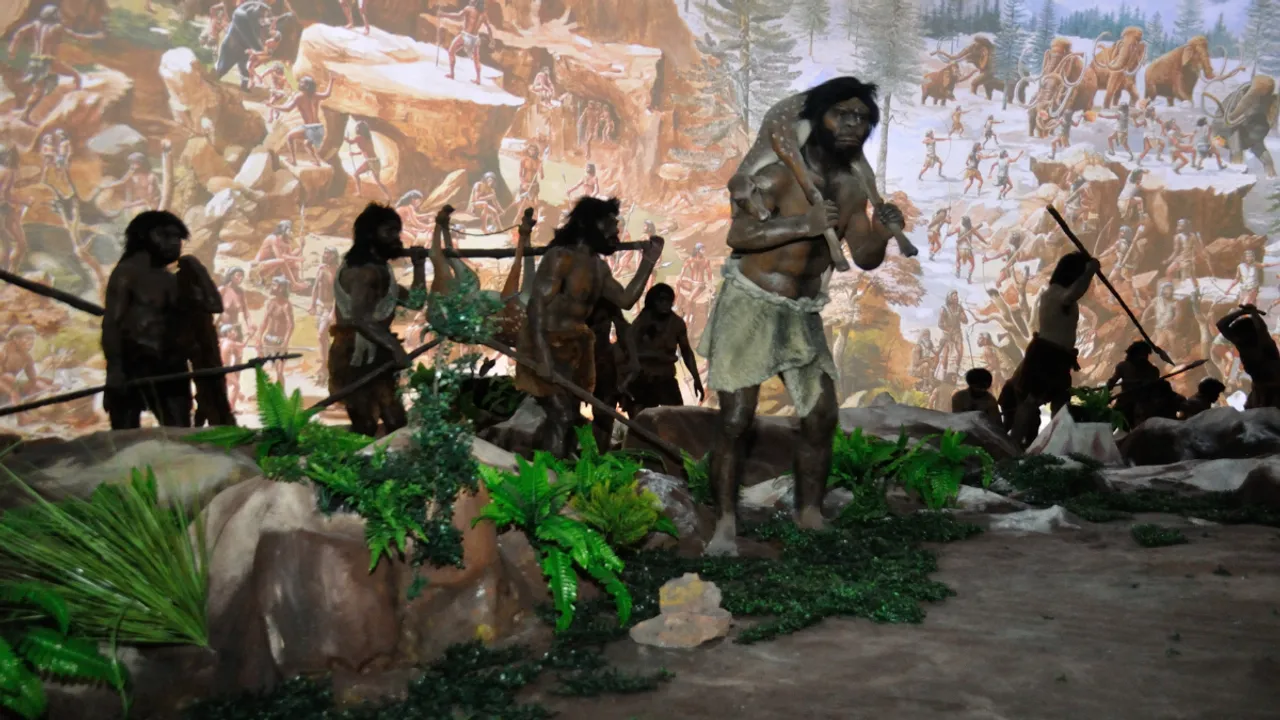 early humans News - Latest early humans News, Breaking early humans ...