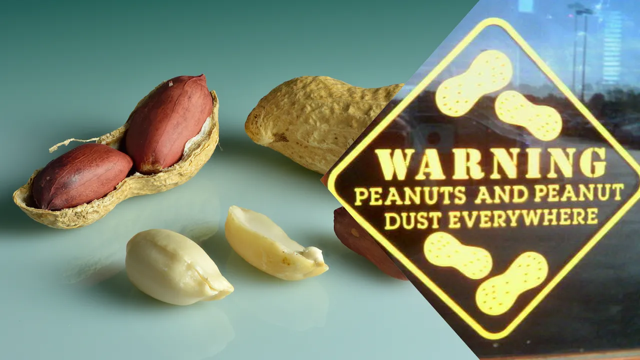 World's first immunotherapy for peanut allergy in babies starts in ...