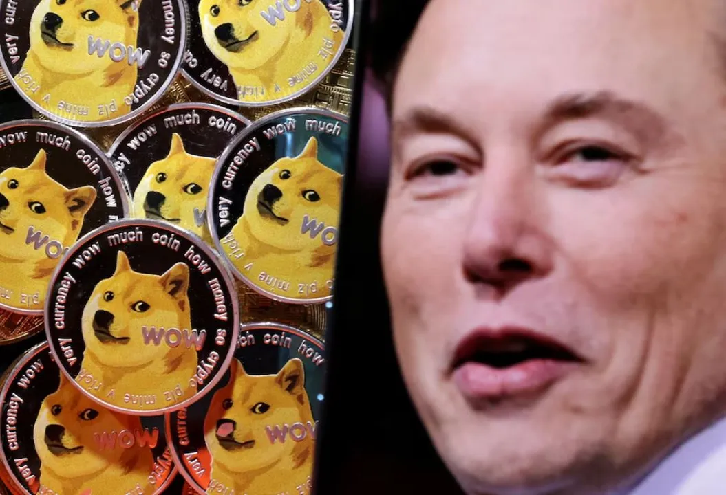 Elon Musk and Tesla win dismissal of Dogecoin fraud lawsuit