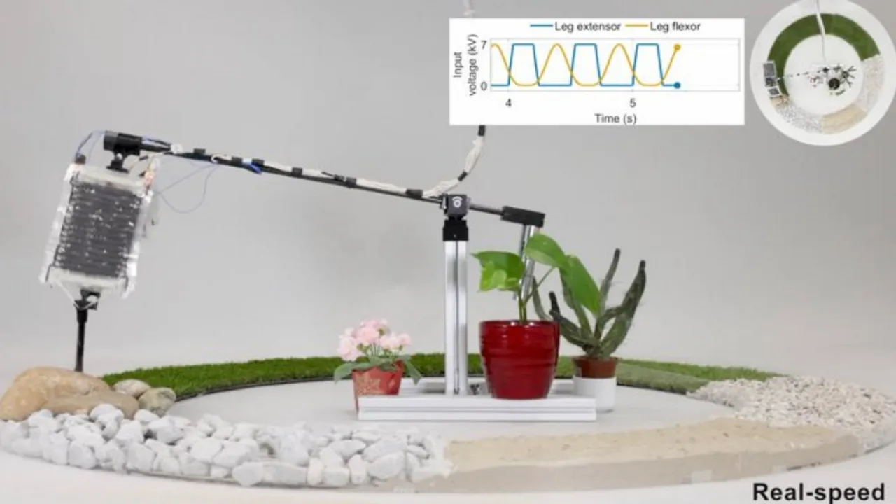 THIS robot has muscles. Here's how it is different from humans