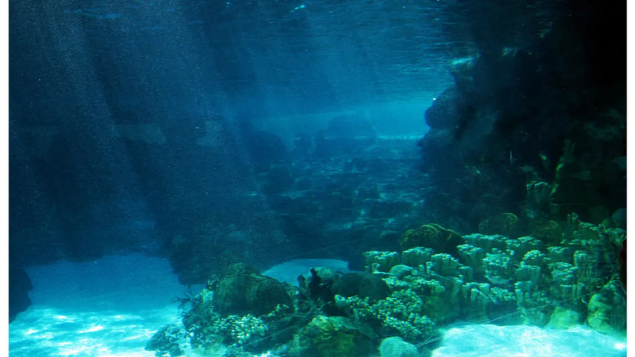 A marvellous megastructure is sitting deep inside the Pacific ...