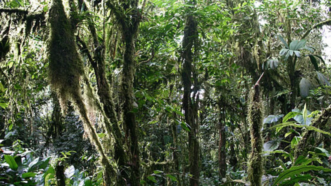 Shocking study says THIS mass extinction event never happened