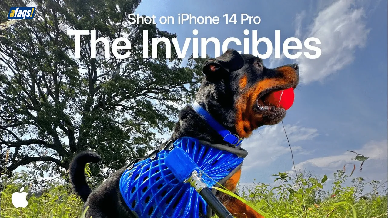 Super-Pups take centre stage in Apple's latest campaign