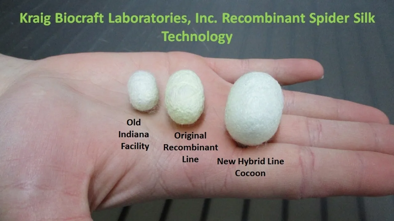Kraig Biocraft Laboratories Unveils BAM 1, a Game-Changing Spider Silk ...
