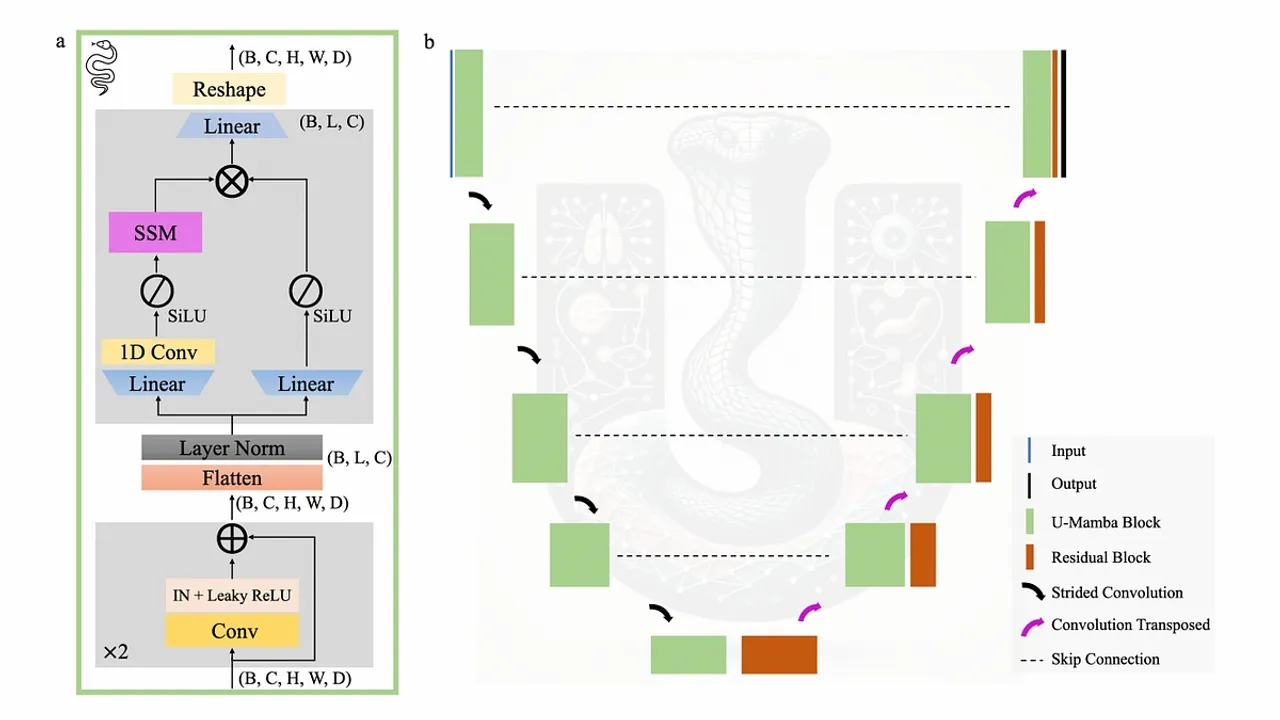 Graph-Mamba: A Revolutionary Approach to Efficient Graph Sequence Modeling