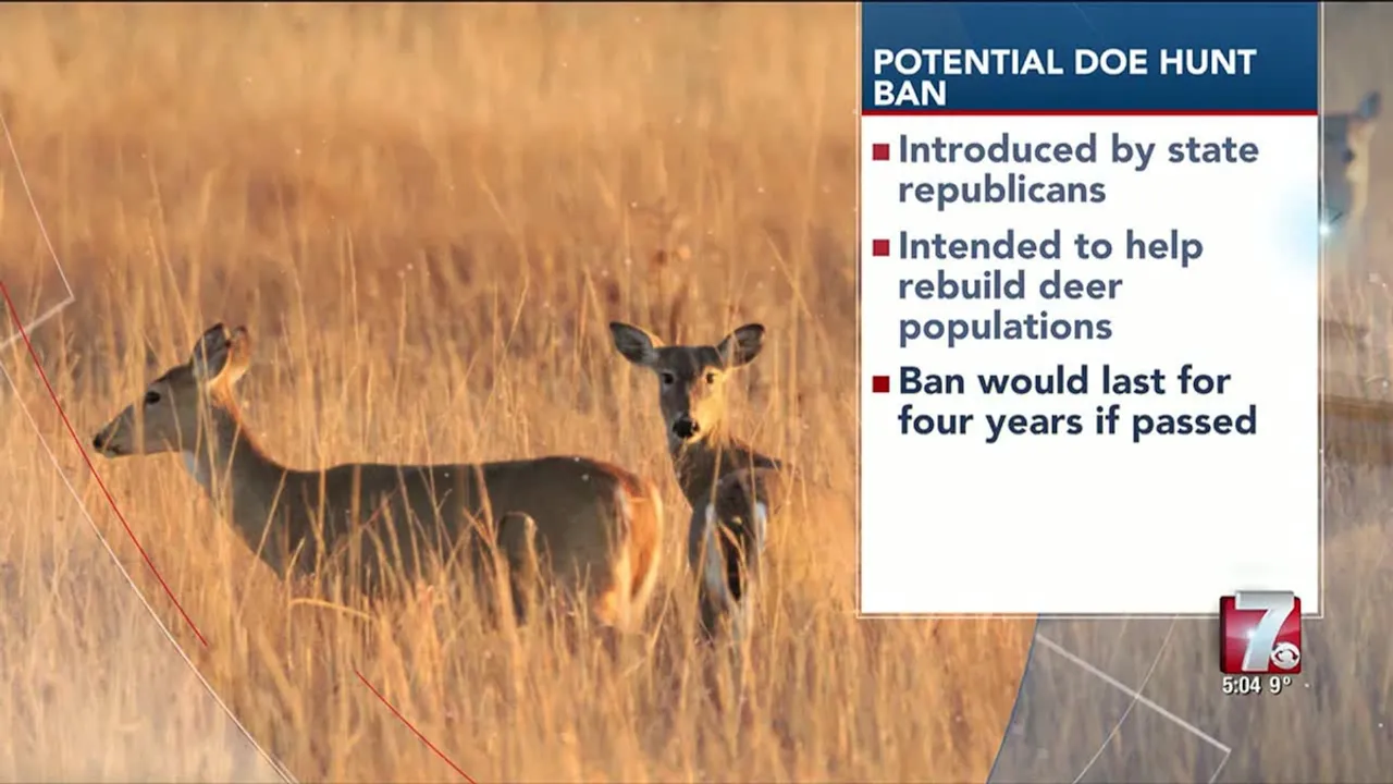 Wisconsin’s Bold Move: A Four-Year Ban on Doe Hunting to Revive ...