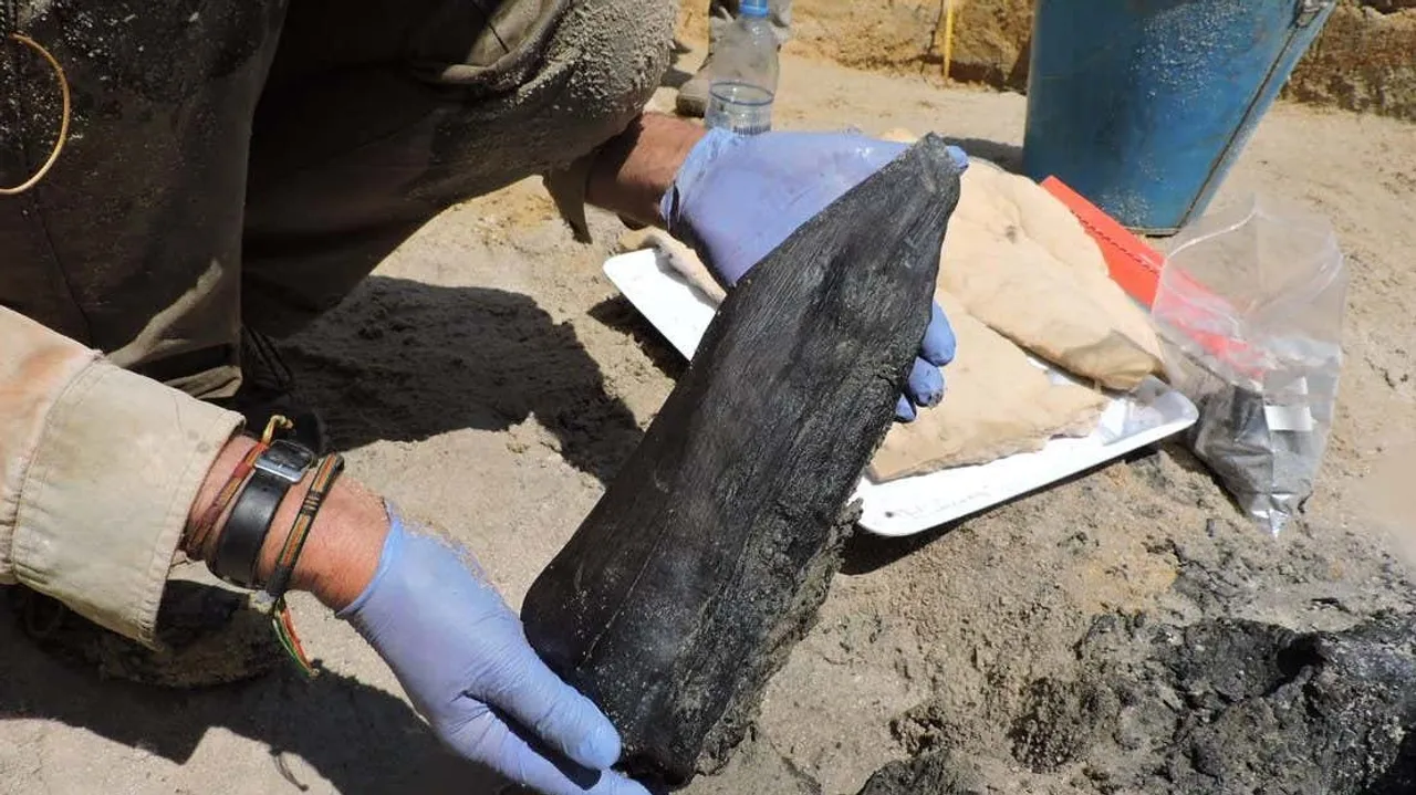 Groundbreaking Discovery: Earliest Evidence of Humans Building with Wood