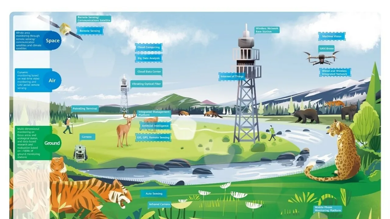 AI-Powered Conservation: How Tech is Transforming Biodiversity Monitoring at Yellow River Delta