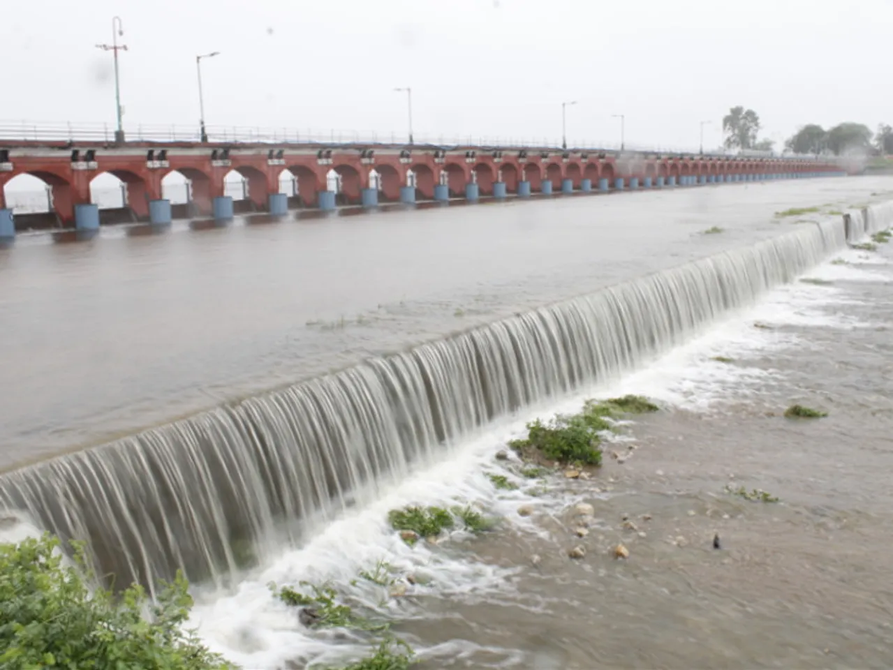 Vishwamitri level might increase as water released from Ajwa dam