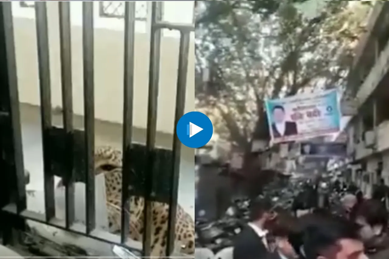 Wild Leopard causes chaos at Ghaziabad District Court, sparks emergency response leaving several ...