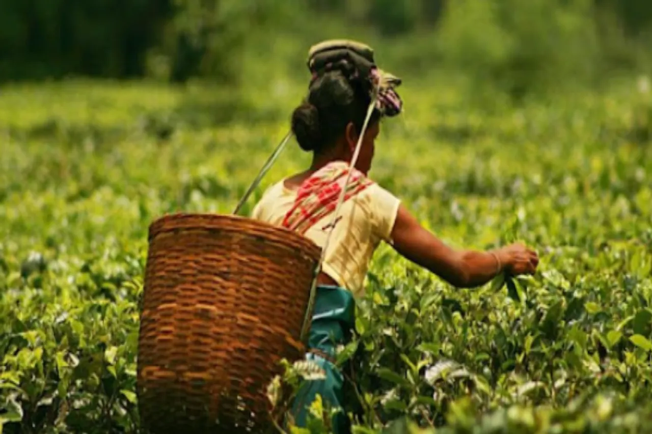 National Rural Livelihood Mission: Uplifting Lives of Marginalised ...