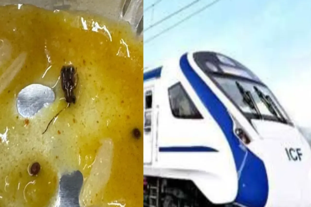Viral Video: Unbelievable! Vande Bharat Train Passengers Served Dal ...