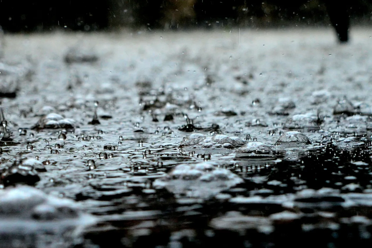 2024 Monsoon marks highest number of heavy rainfall events in 5 years