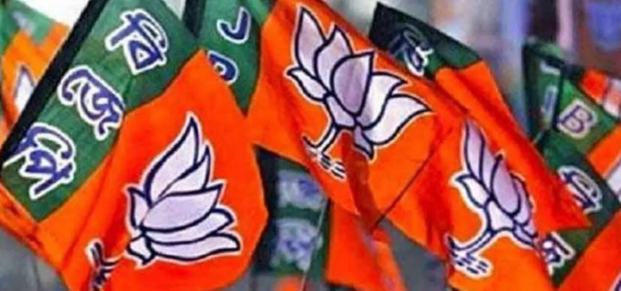 West Bengal BJP: বাটি হাতে তারাপীঠে ভিক্ষে করছেন একদা দাপুটে BJP নেতা ...