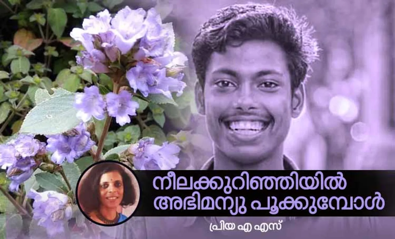നീലക്കുറിഞ്ഞിയിൽ അഭിമന്യു പൂക്കുമ്പോൾ