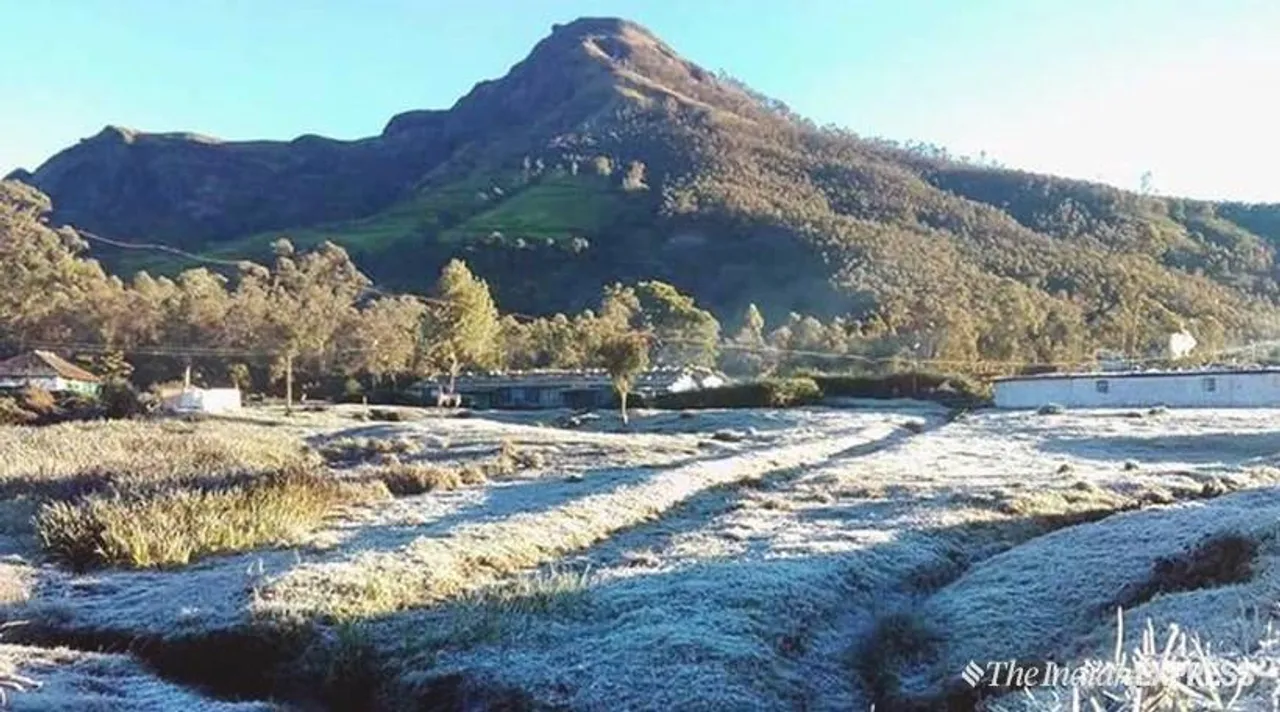 മൂന്നാറിൽ മഞ്ഞുമഴ, കേരളം 'കിടുകിടാ' വിറയ്ക്കുന്നു: ഇങ്ങനെ തണുക്കാ ...