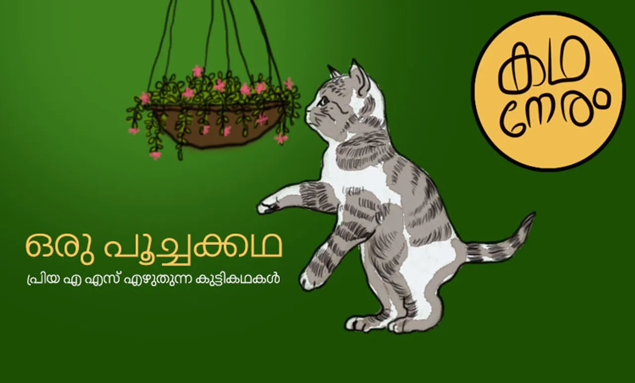 Priya AS Malayalam Stories for Children: കഥനേരം-ഒരു പൂച്ചക്കഥ