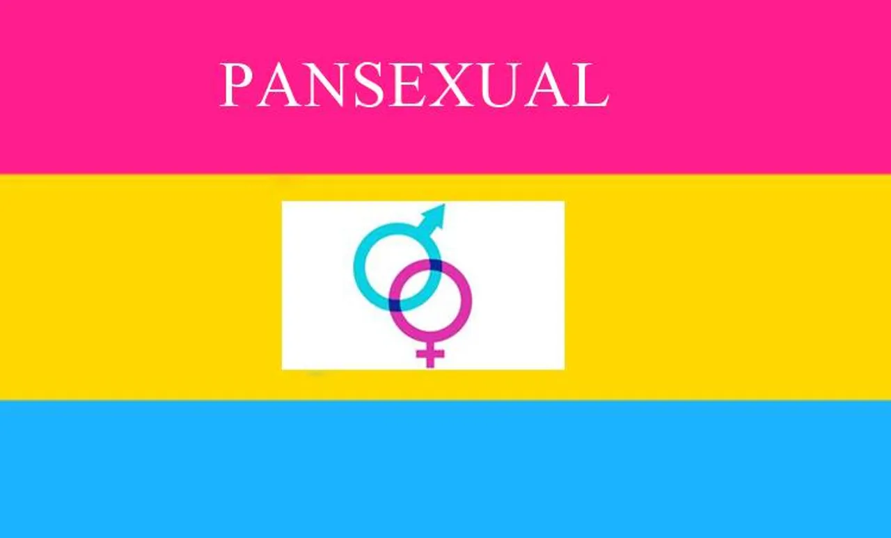 Explained: ആരാണ് പാൻസെക്ഷ്വൽ? എന്താണ് പാൻസെക്ഷ്വാലിറ്റി?