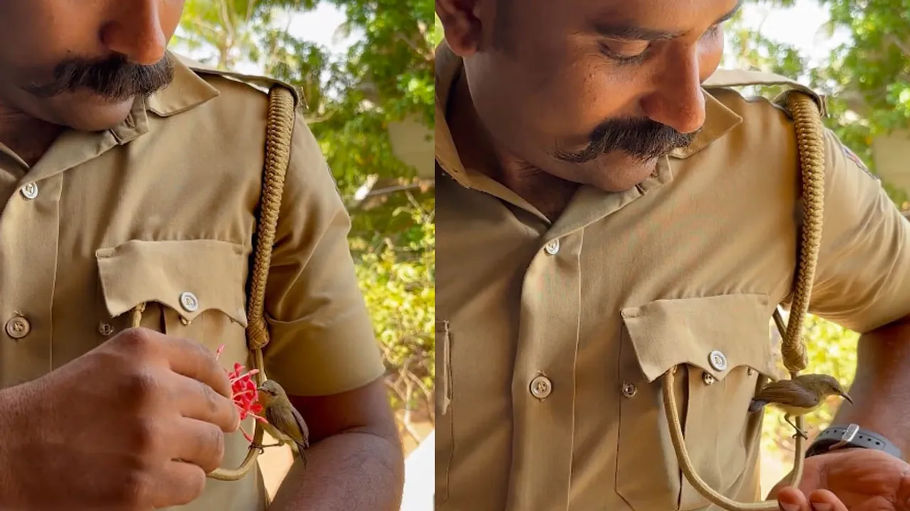 പൊലീസുകാരന്റെ യൂണിഫോമില്‍ തേന്‍കിളി; പറന്ന് പൊക്കോ..അല്ലെങ്കില് ...