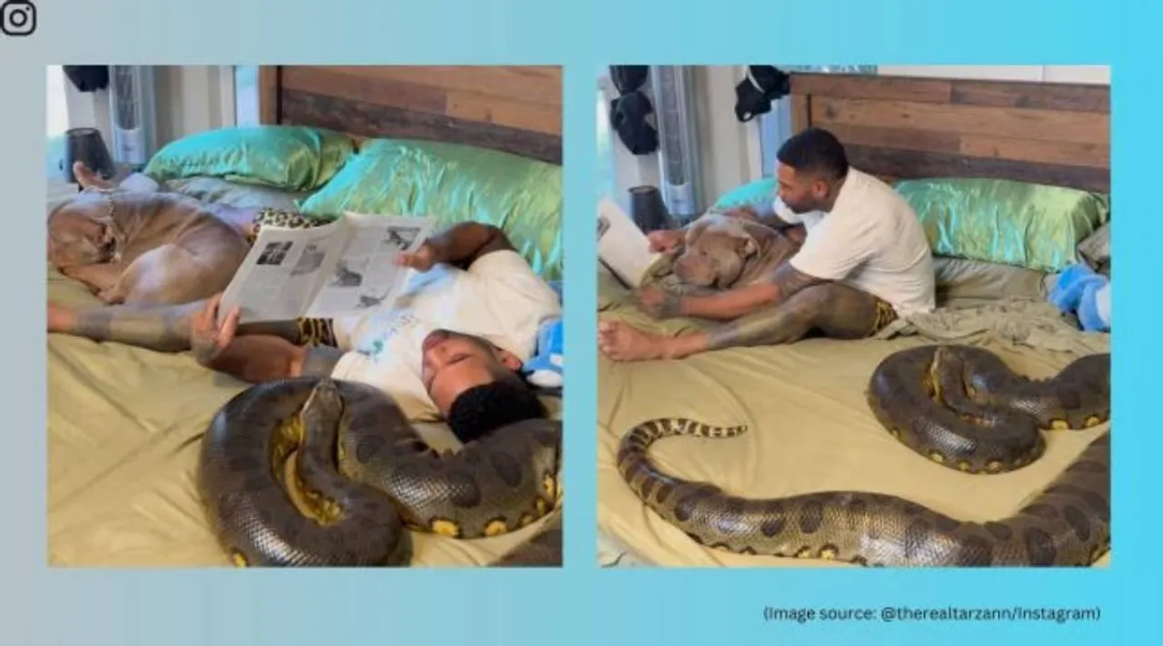 மெத்தையில் ராட்சத மலைப்பாம்புடன் ஓய்வெடுக்கும் நபர்; நெட்டிசன்கள் வியப்பு: வைரல் வீடியோ