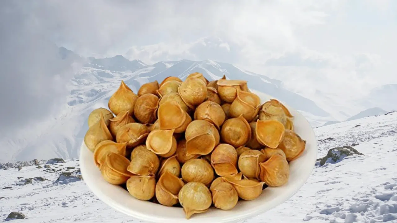 Discover the Power of Kashmiri Snow Mountain Garlic: A Superfood Treasure