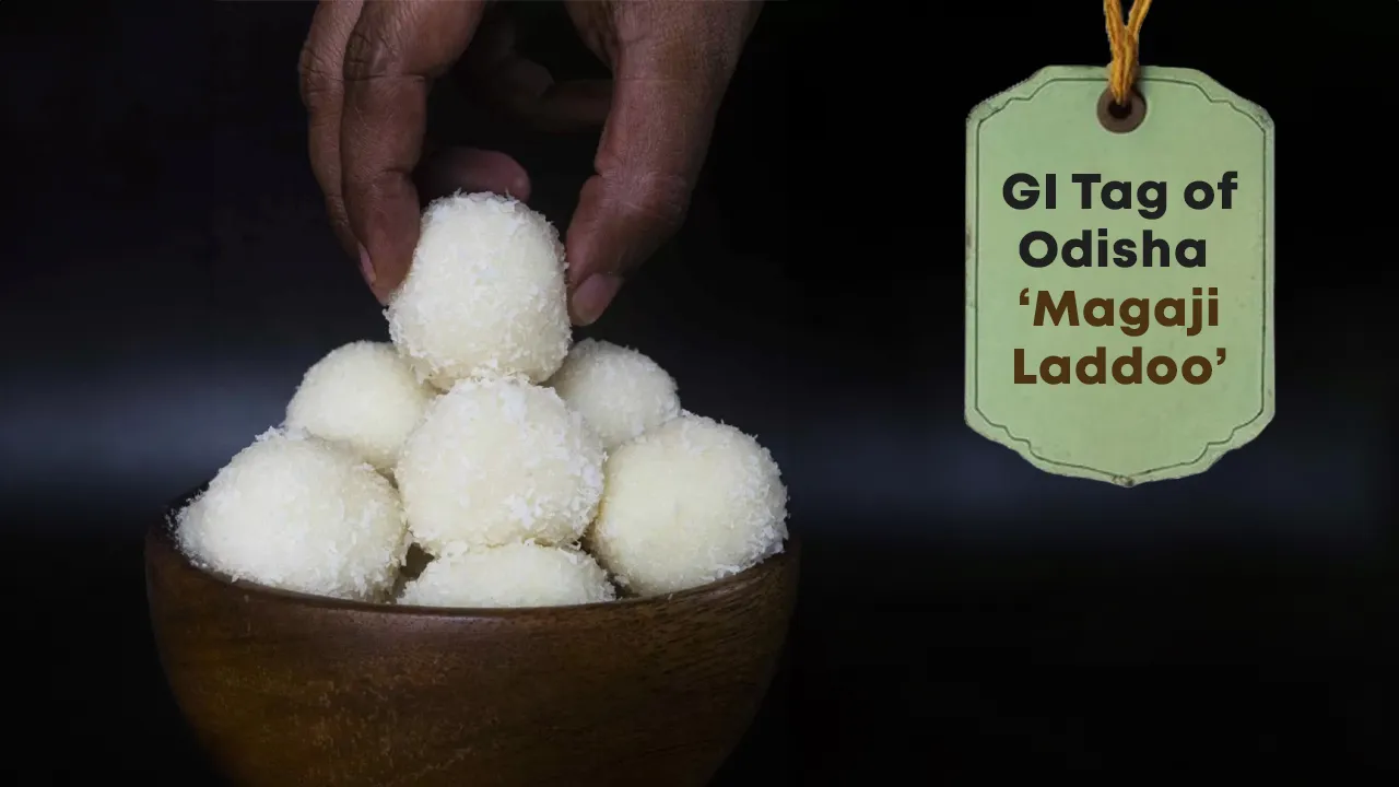 Magaji Ladoo: The gastronomic journey of the GI-tagged sweet of Odisha