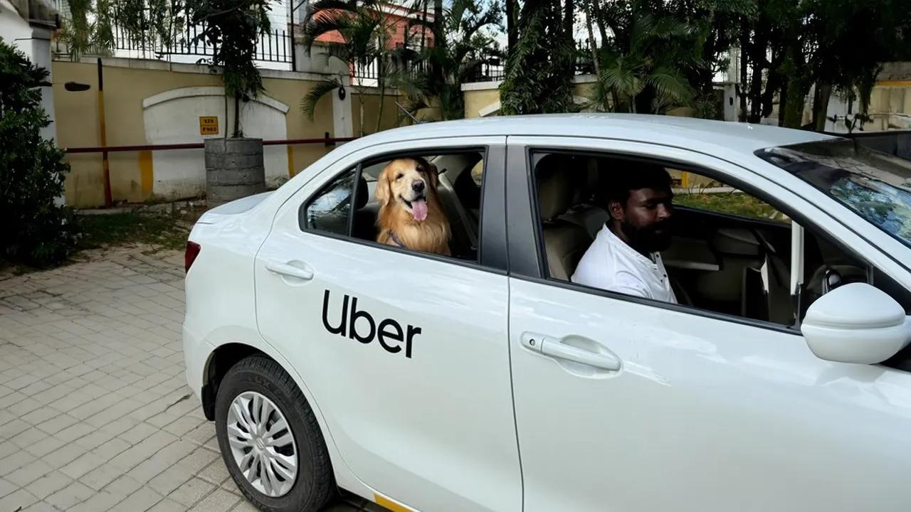 Uber Pet launches in Bangalore