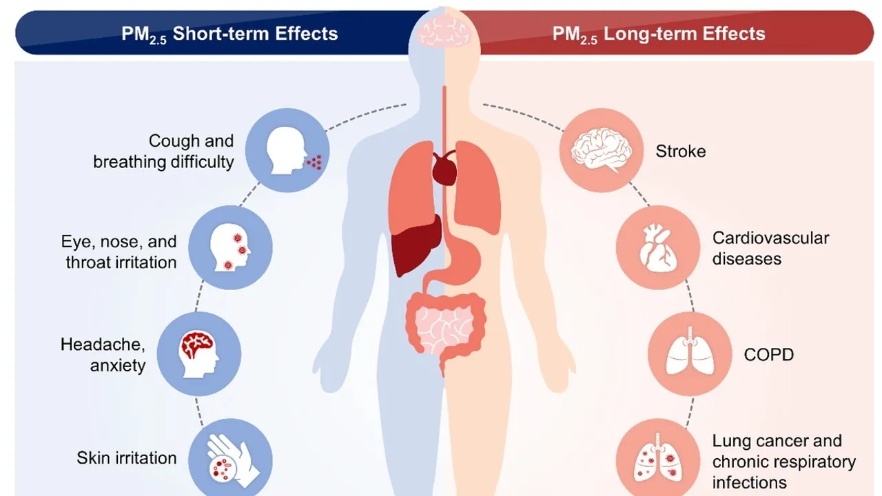 Air Pollution and Its Impact on Cardiovascular and Respiratory Health ...