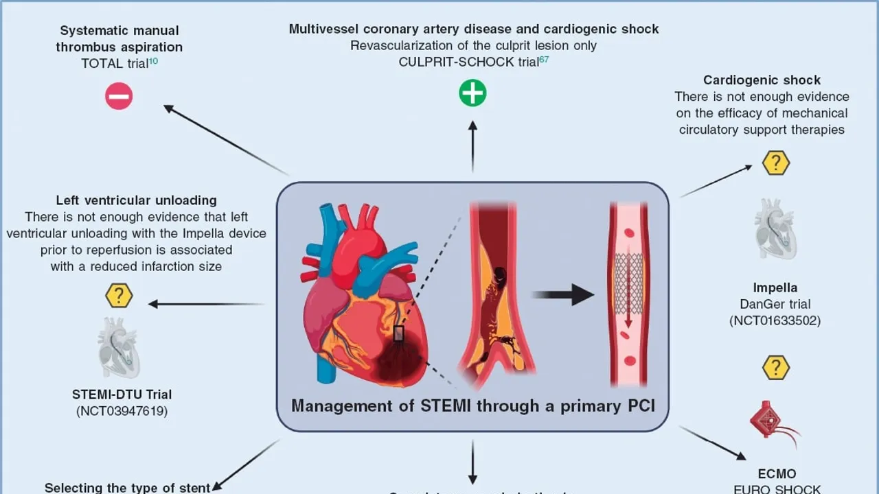 The Impact of FFR-Guided PCI on Acute Myocardial Infarction Treatment ...