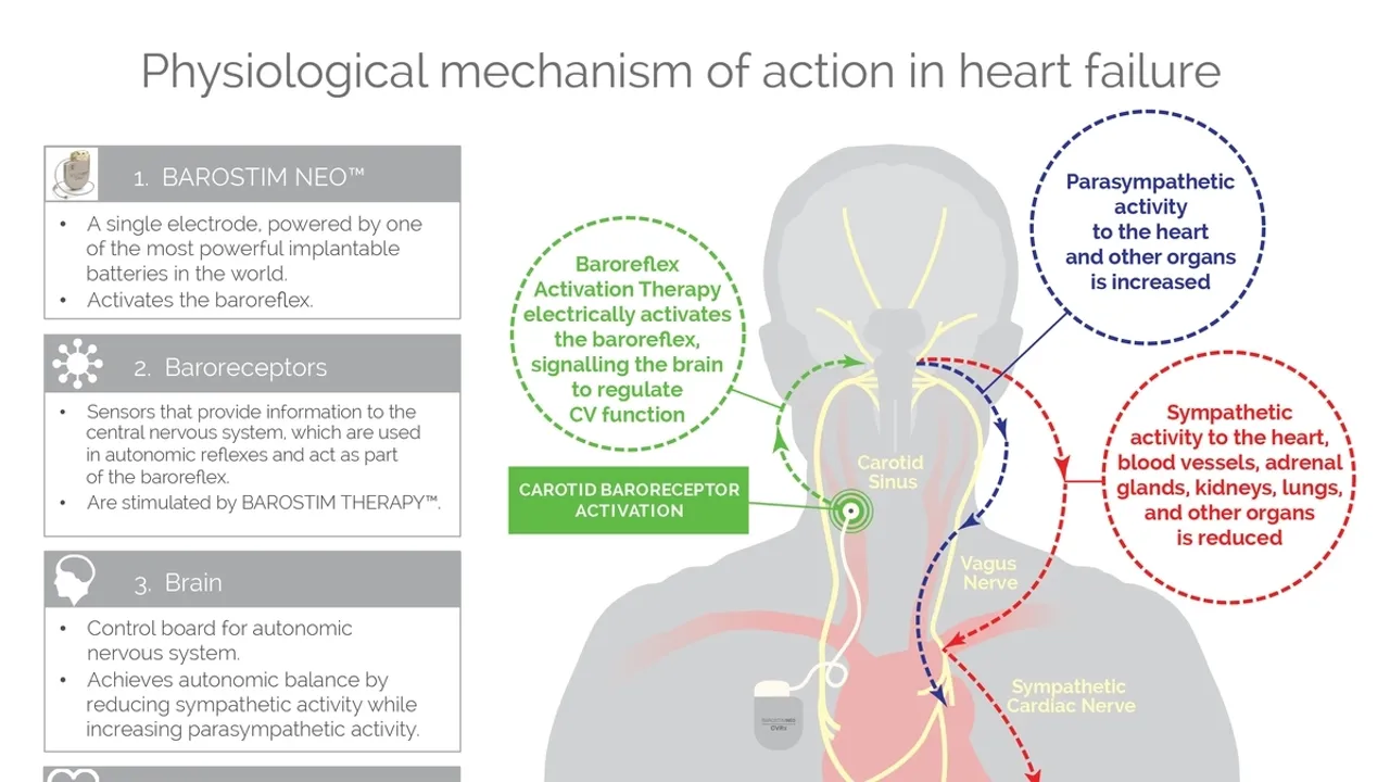 FDA Approves Expanded Label for Barostim Neuromodulation System in ...