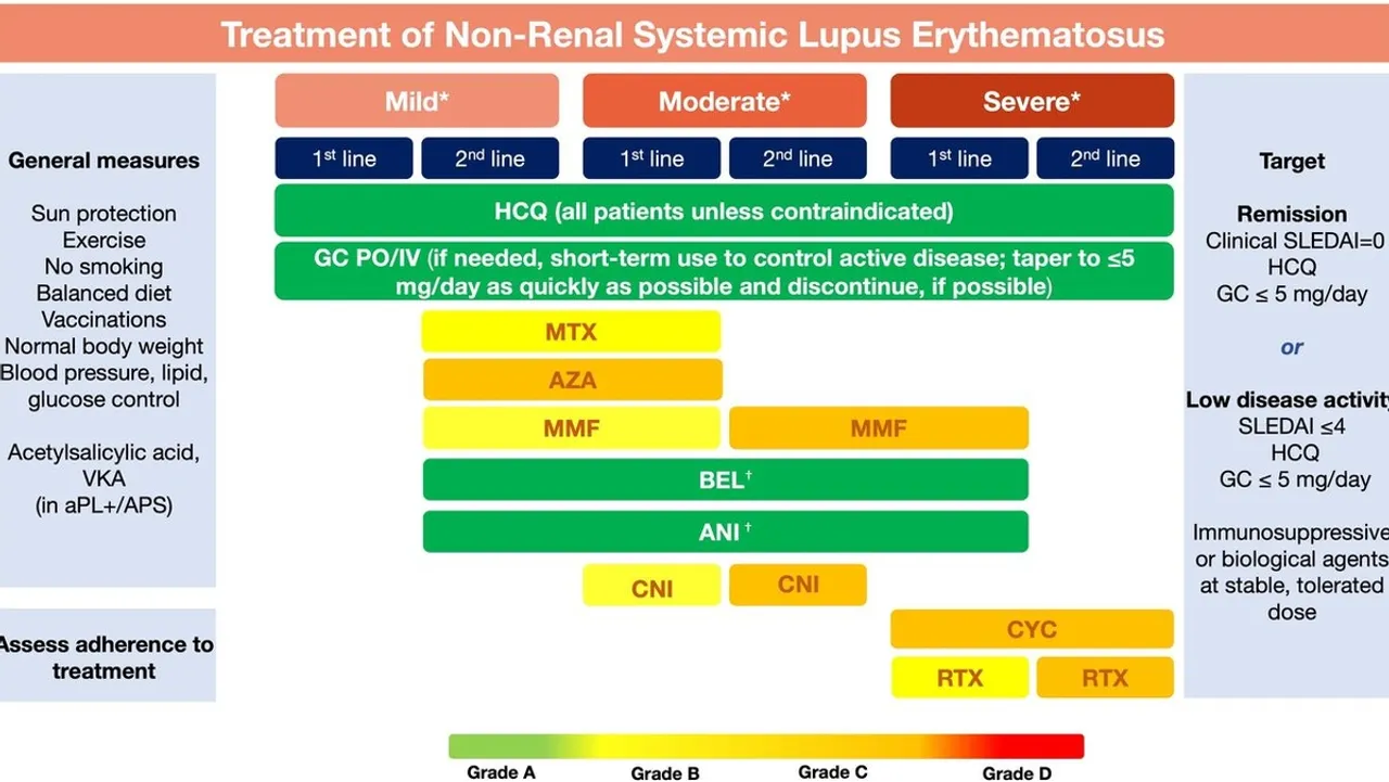 The Updated EULAR Recommendations for Managing Systemic Lupus ...