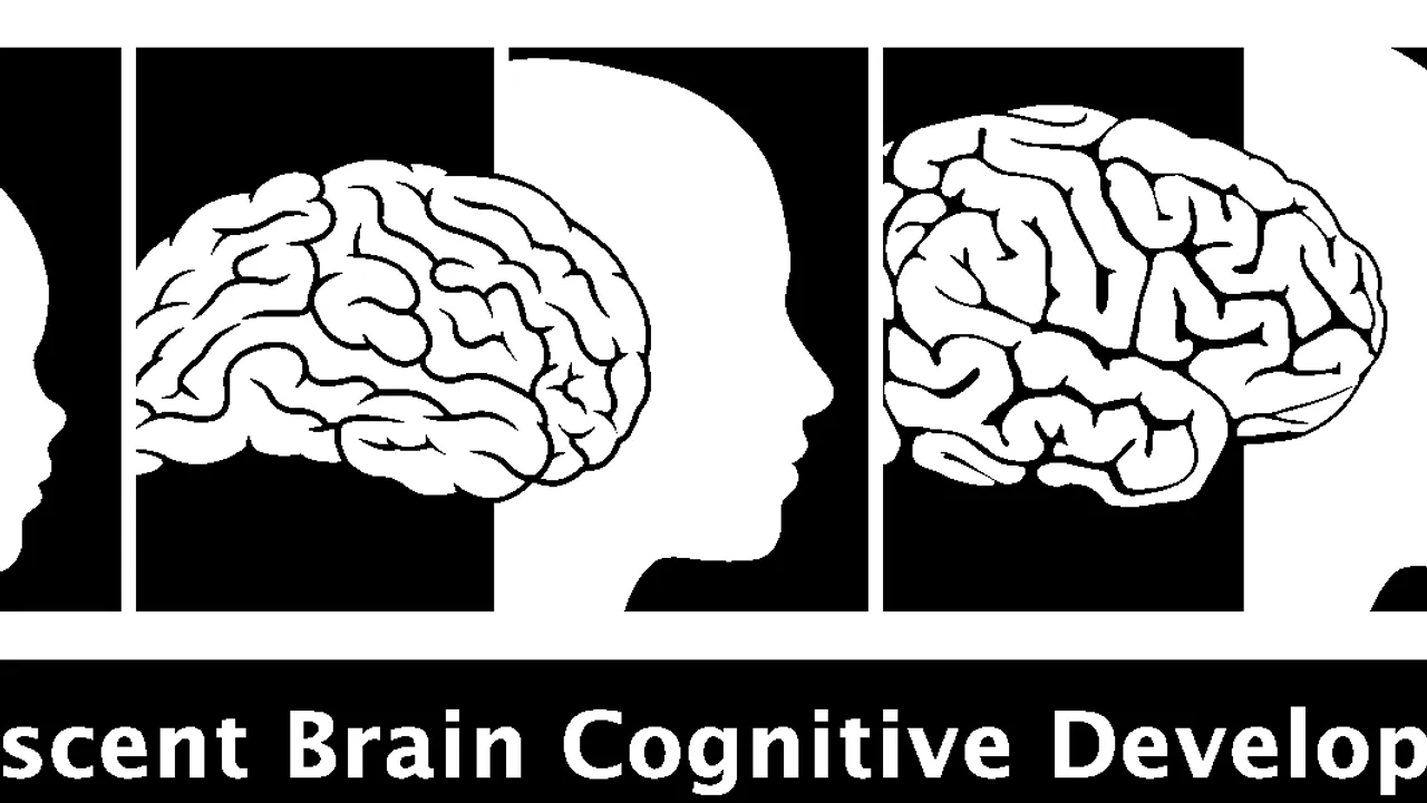 Understanding Gender Identity Measurement in the Adolescent Brain ...