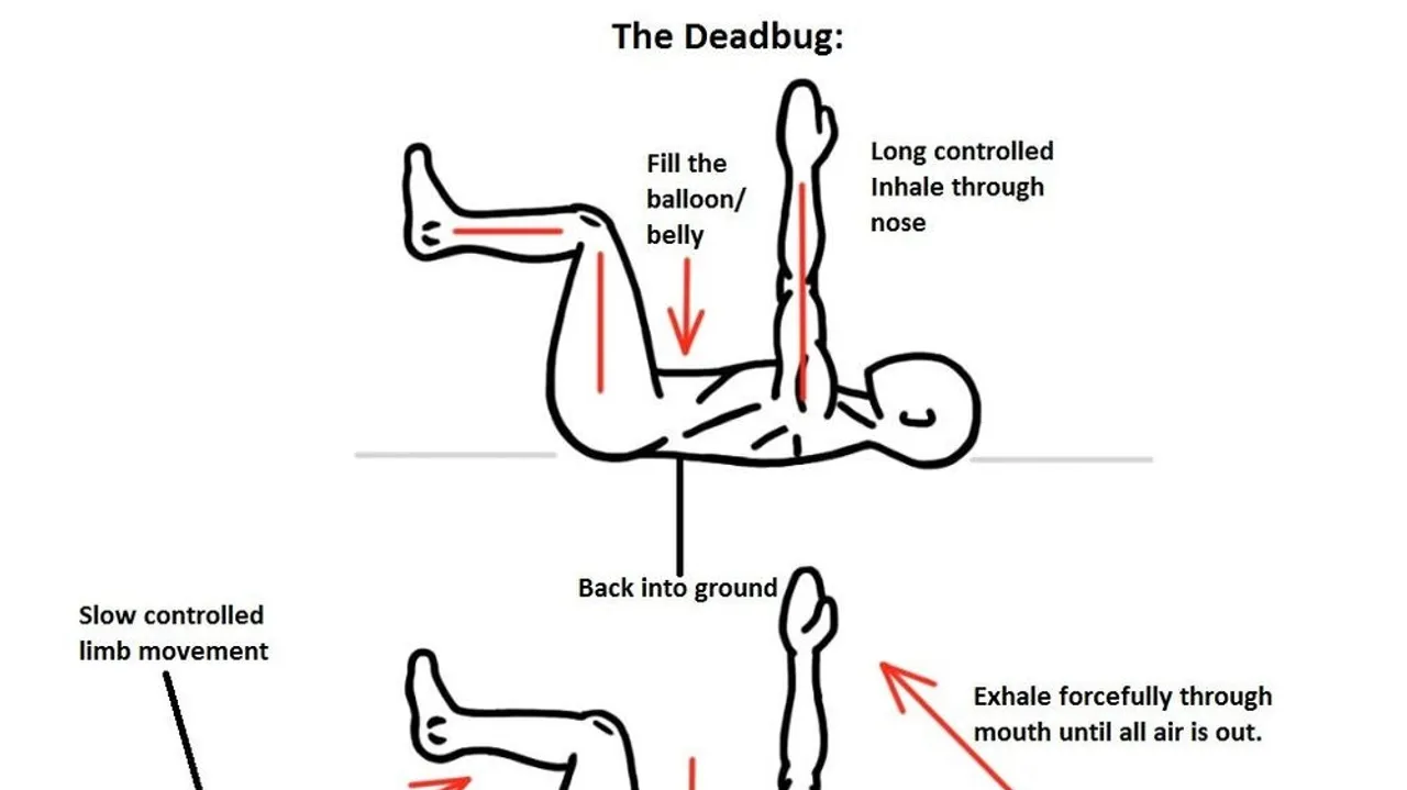 The Dead Bug Exercise: A Comprehensive Guide to Strengthening Your Core
