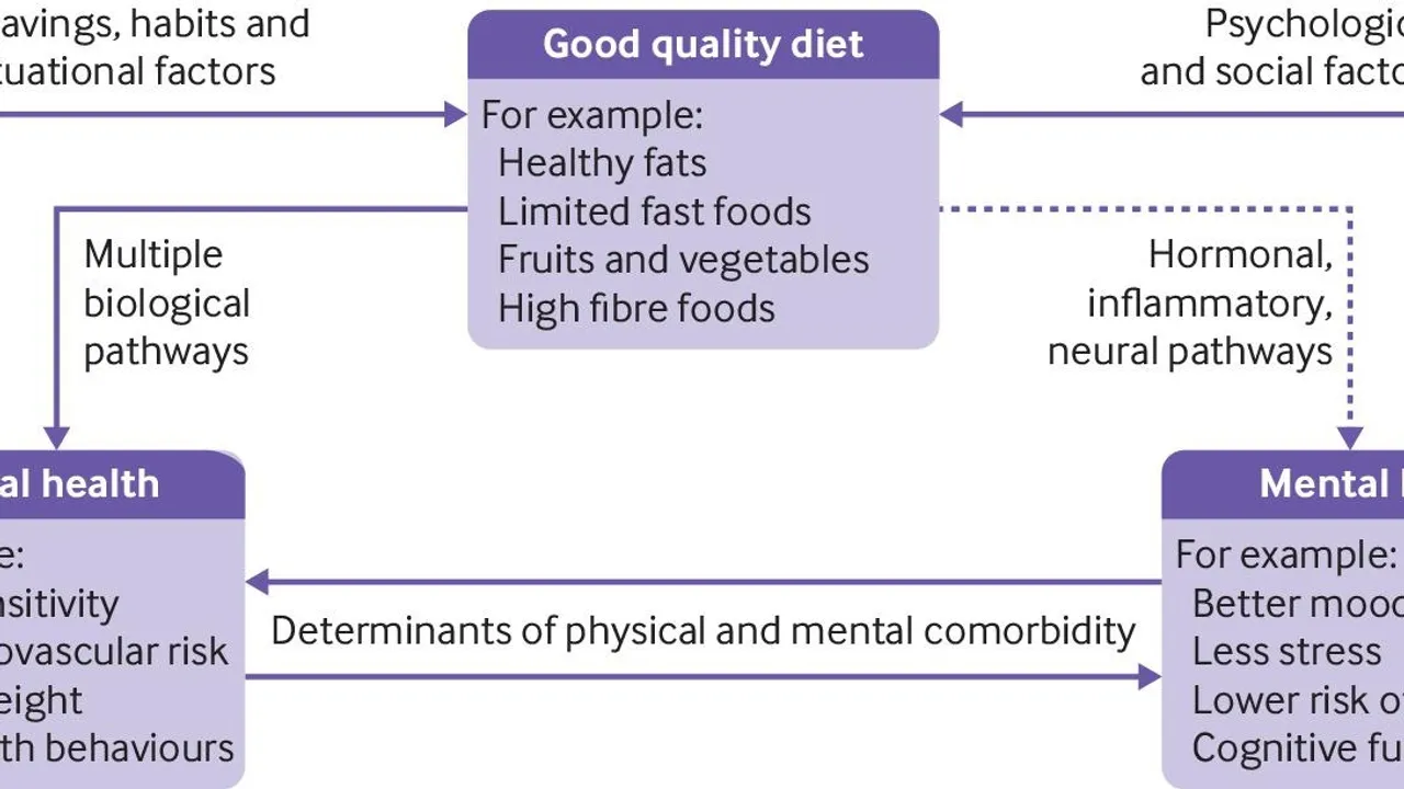 The Impact of Diet and Nutrition on Mental Health: What You Need to Know