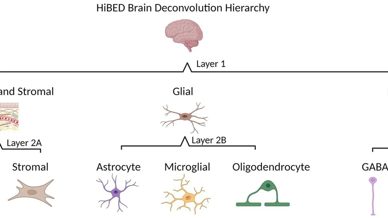 Scmd A Revolutionary Technique For Accurate Cellular Deconvolution And