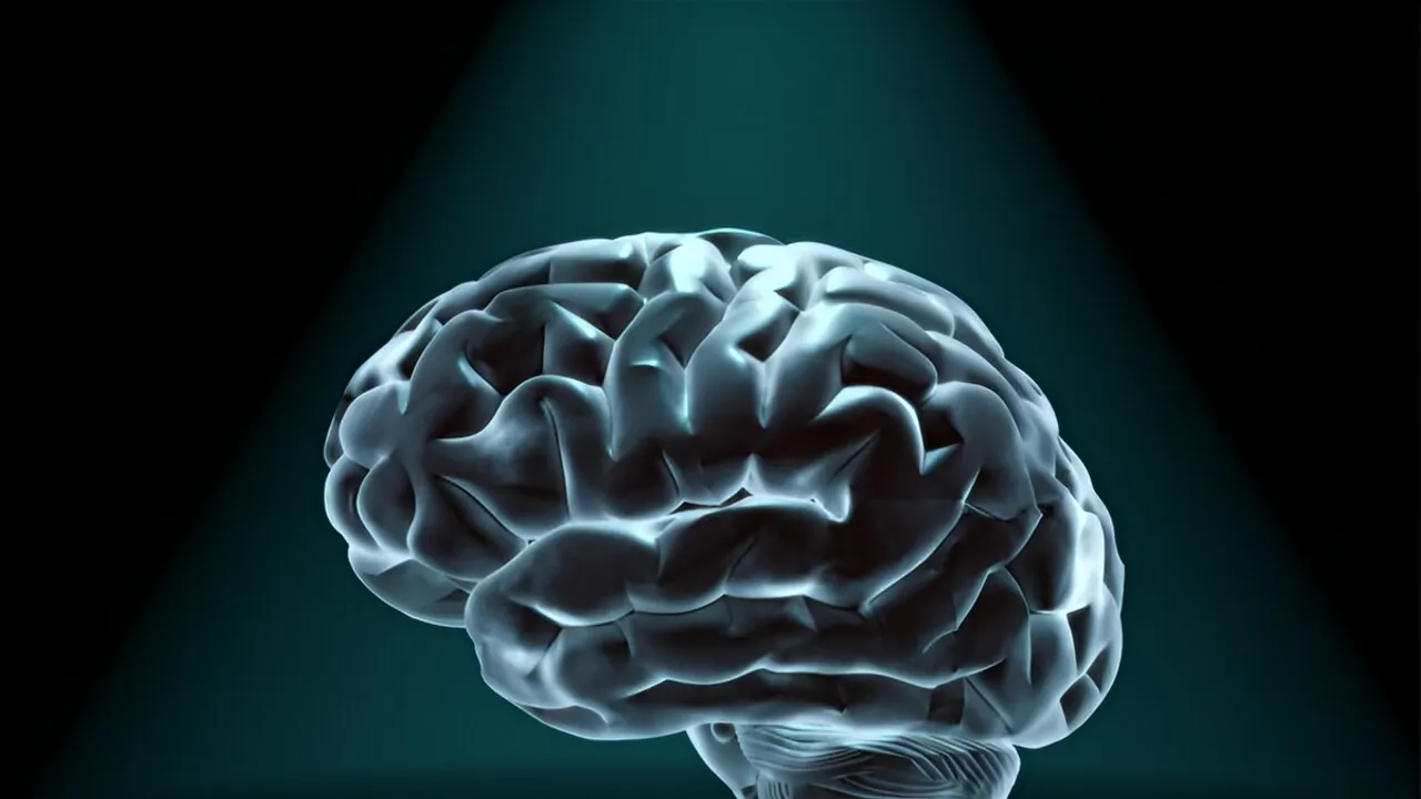 American Academy Of Neurology Issues Updated Guidelines On Brain Death