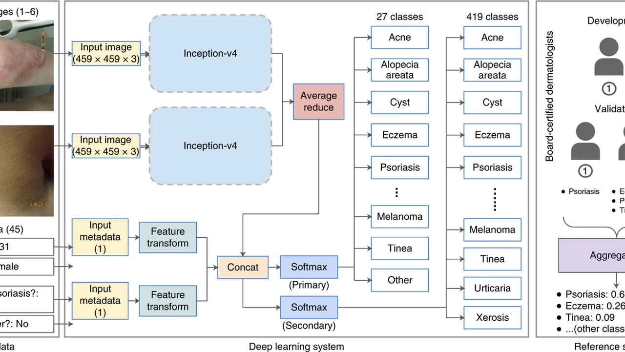Leveraging Deep Learning for Skin Disease Diagnosis: A New Dawn in ...