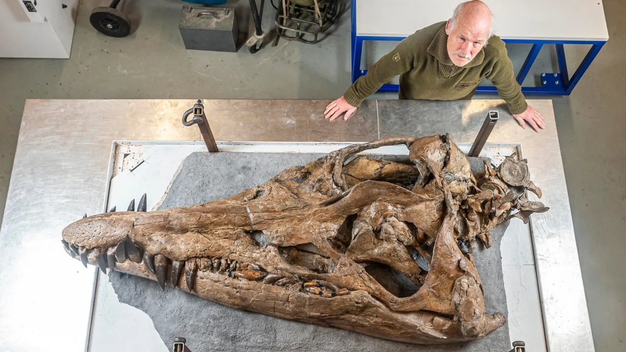 Unearthing Jurassic Giants: The Discovery and Reconstruction of a ...