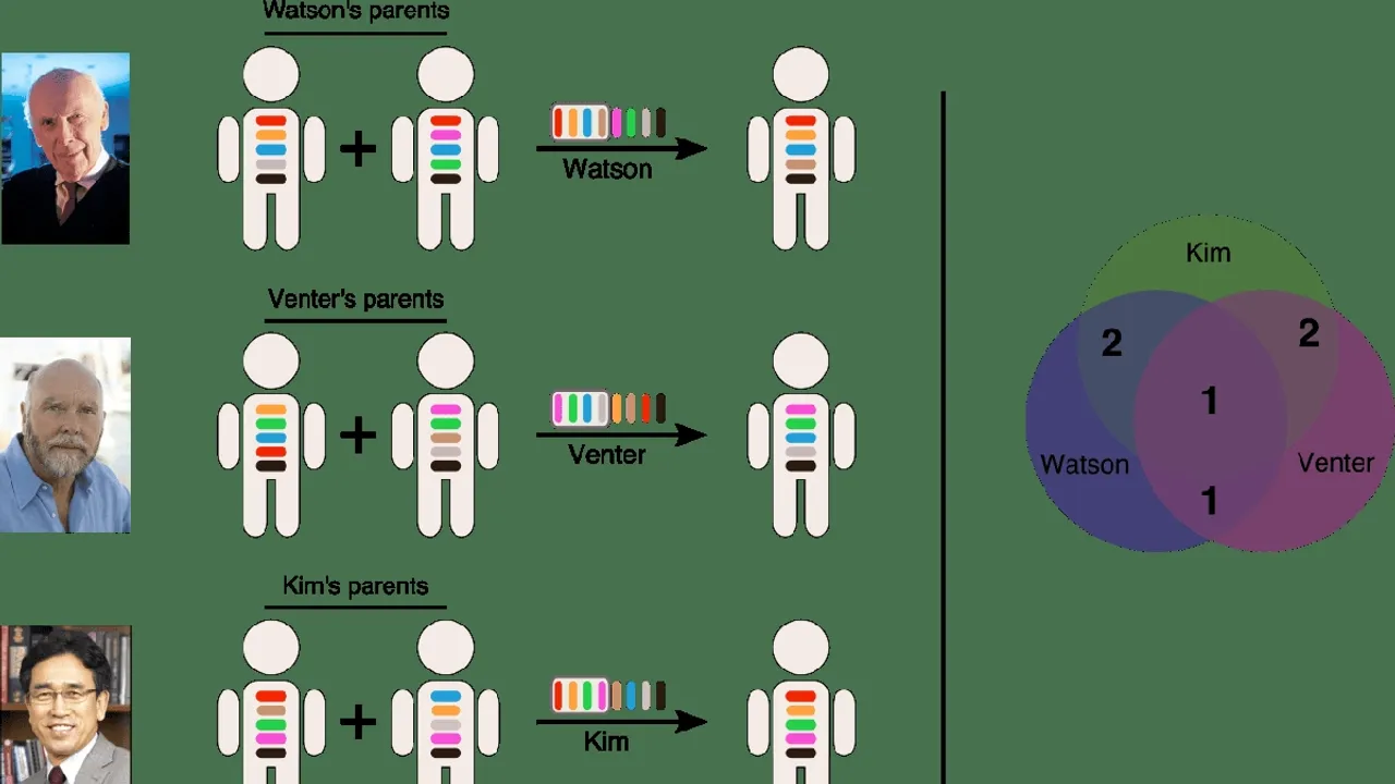 Expanding Diversity in Genetics Research: The Importance of Inclusive DNA Representation