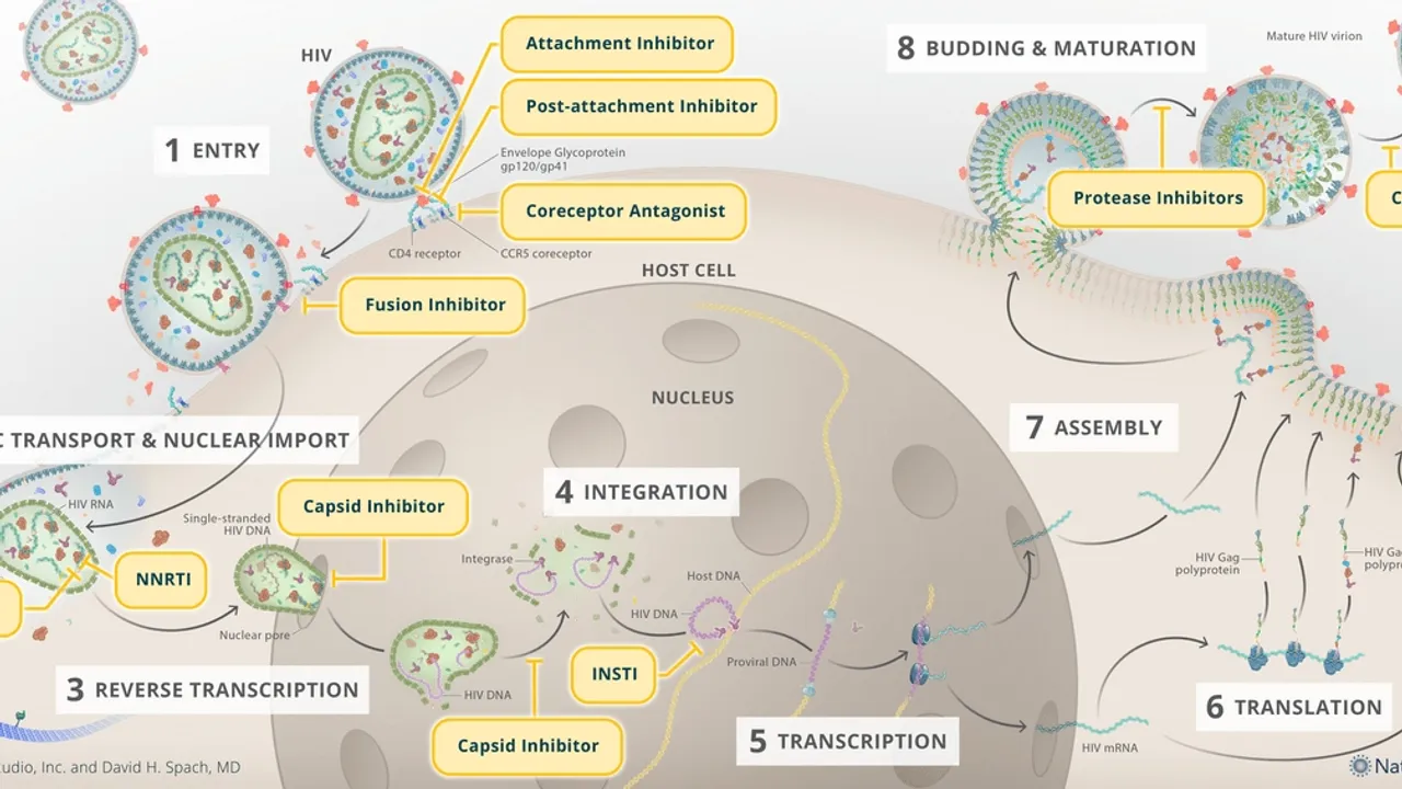 Long-Acting Antiretroviral Therapy: A Breakthrough in HIV Treatment