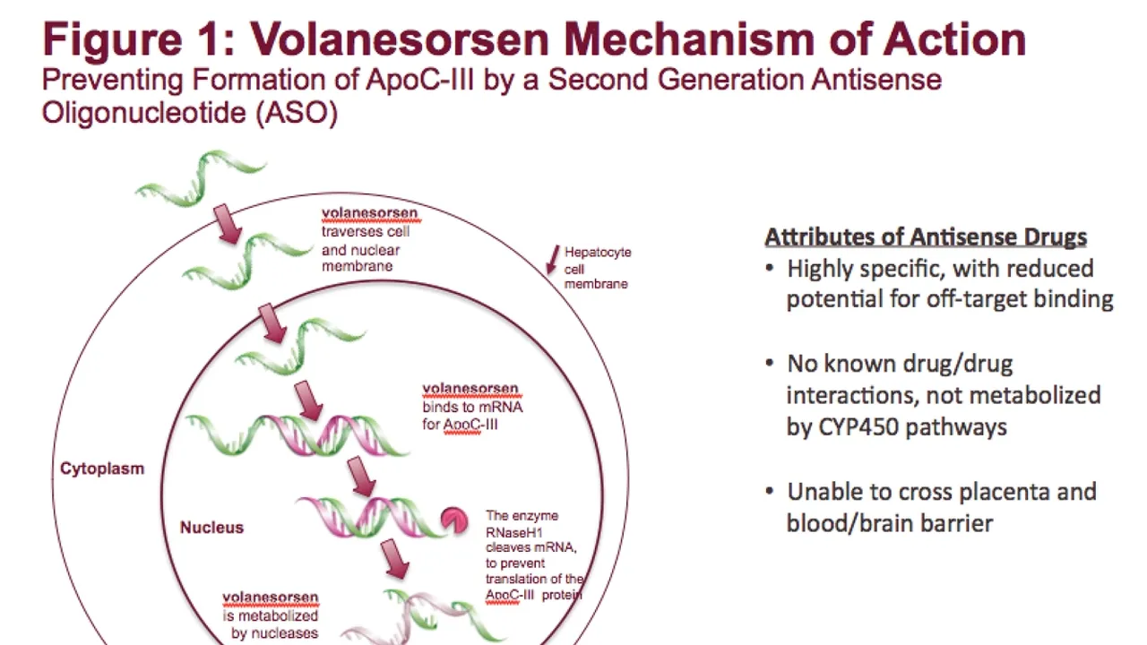 Volanesorsen: An Emerging Treatment Option for Hypertriglyceridemia and ...