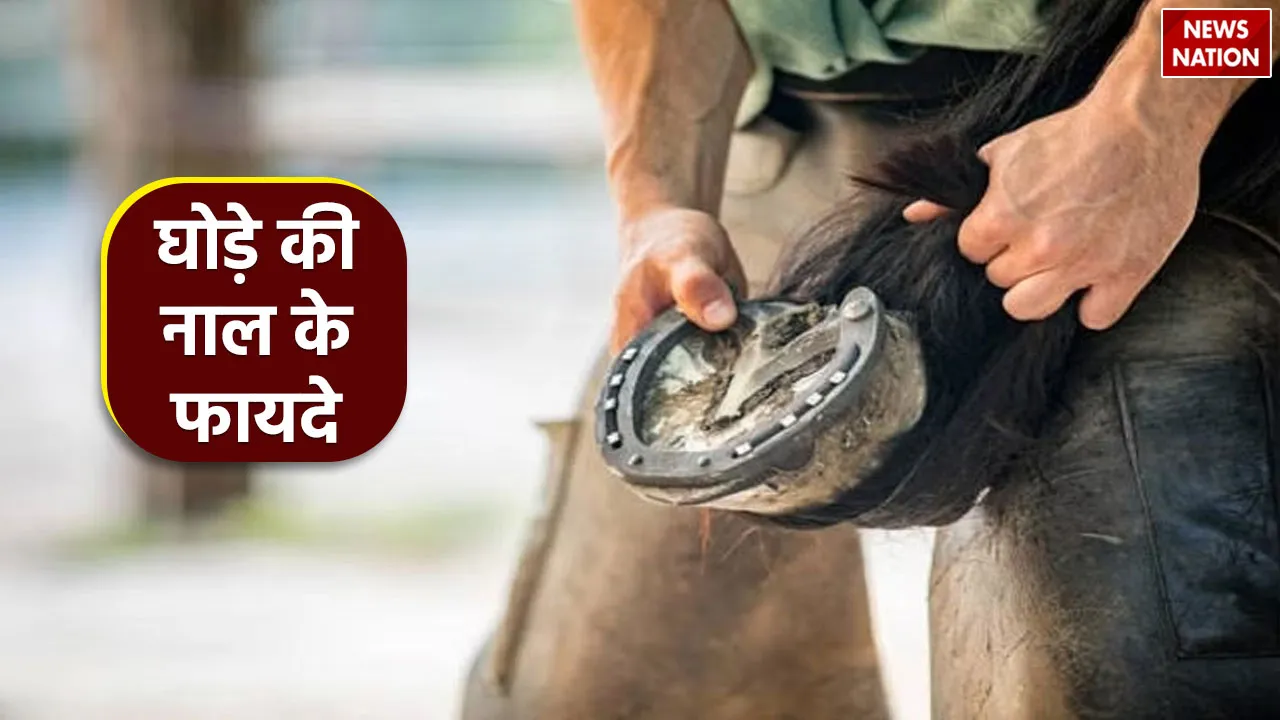 Ghode Ki Naal: घोड़े की नाल करती है चमत्कार, माता लक्ष्मी की कृपा होती ...