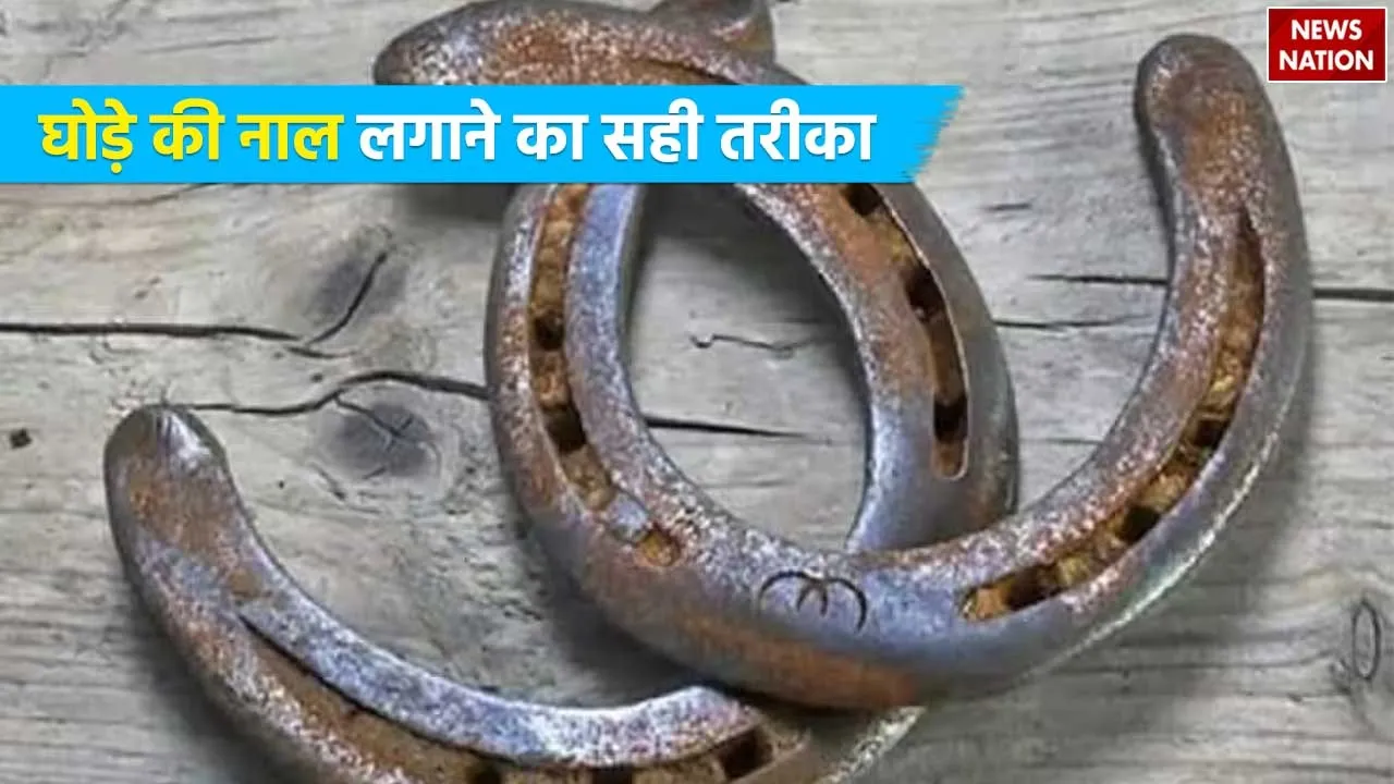 Ghode Ki Naal: घोड़े की नाल लगाने के फायदे ही नहीं नुकसान भी हैं, जाने ...