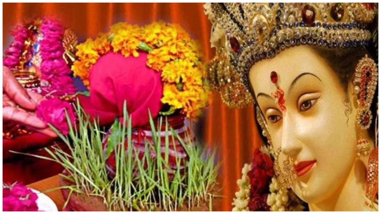 Pooja Paath Me Jau Ka Mahatva: ब्रम्हा का स्वरूप माना जाता है, जानें ...