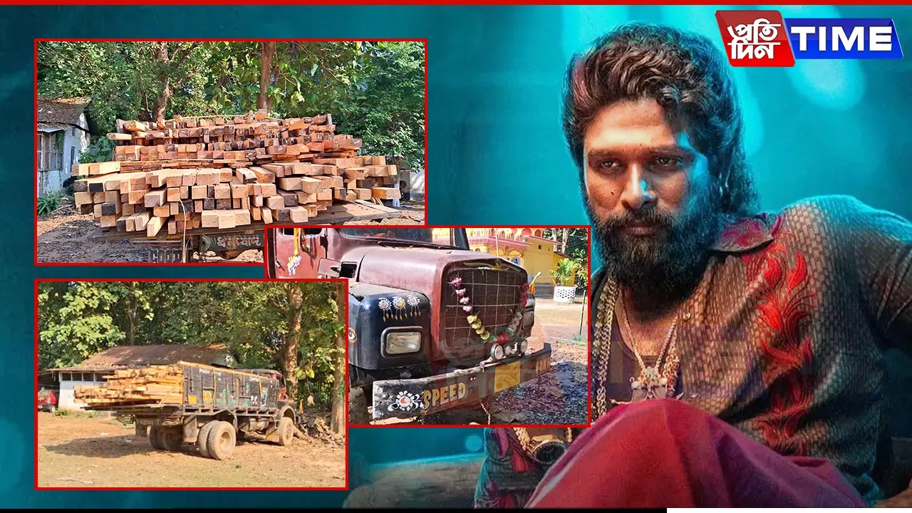 Pushpa-Style Timber Smuggling Operation Exposed in Rani Forest