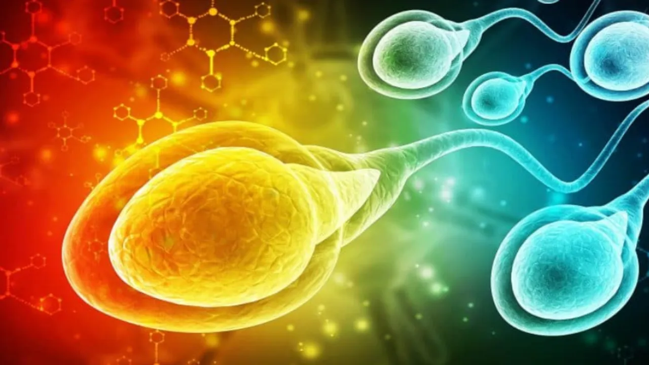 Every Human Semen Tested Sample Contained Microplastics, Claims Research